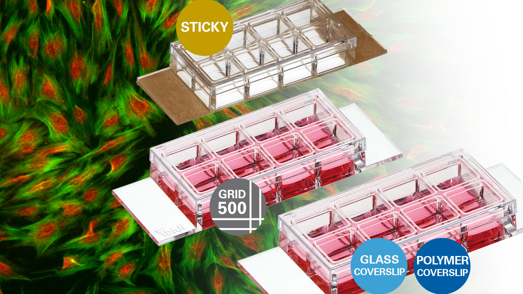 Das neue µ-Slide 8 Well high