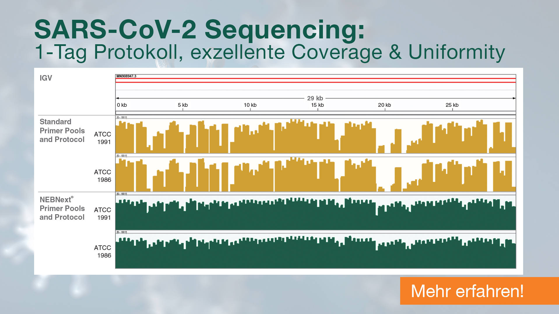 NEBNext ARTIC Kits: Zuverlässige SARS-CoV-2 Sequenzierung