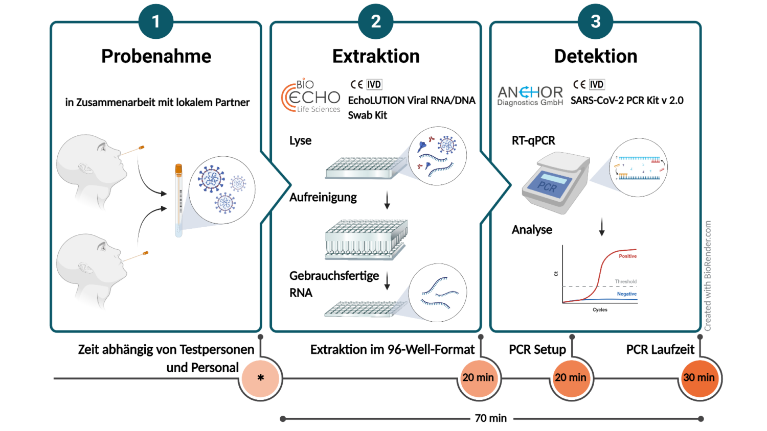 Schnellster Workflow für Hunderte SARS-CoV-2 PCR Tests