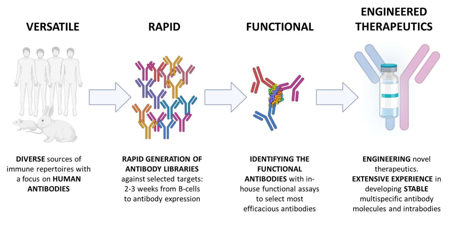 Mabylon AG erhält 30 Mio. CHF für Pipeline-Entwicklung