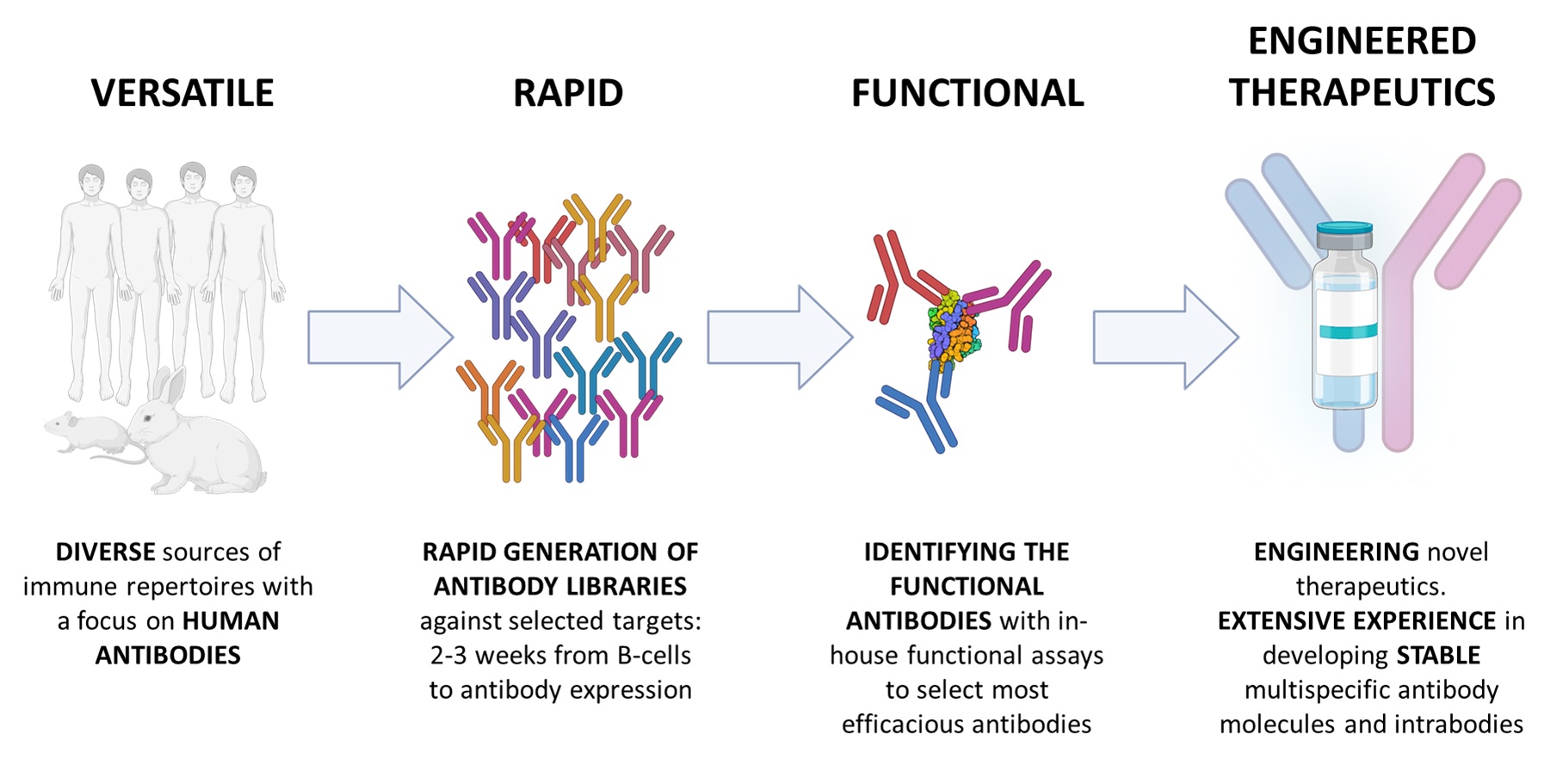 Mabylon AG erhält 30 Mio. CHF für Pipeline-Entwicklung